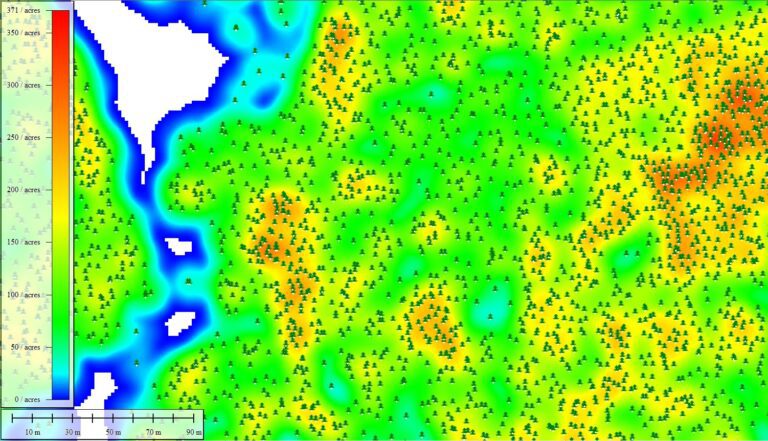 How to Create a Forest Density Map from Lidar